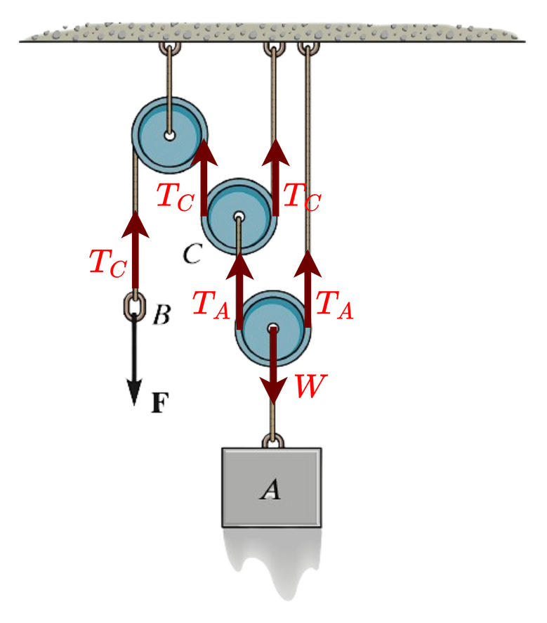 Simer - Equations of Motion: Rectangular Coordinates